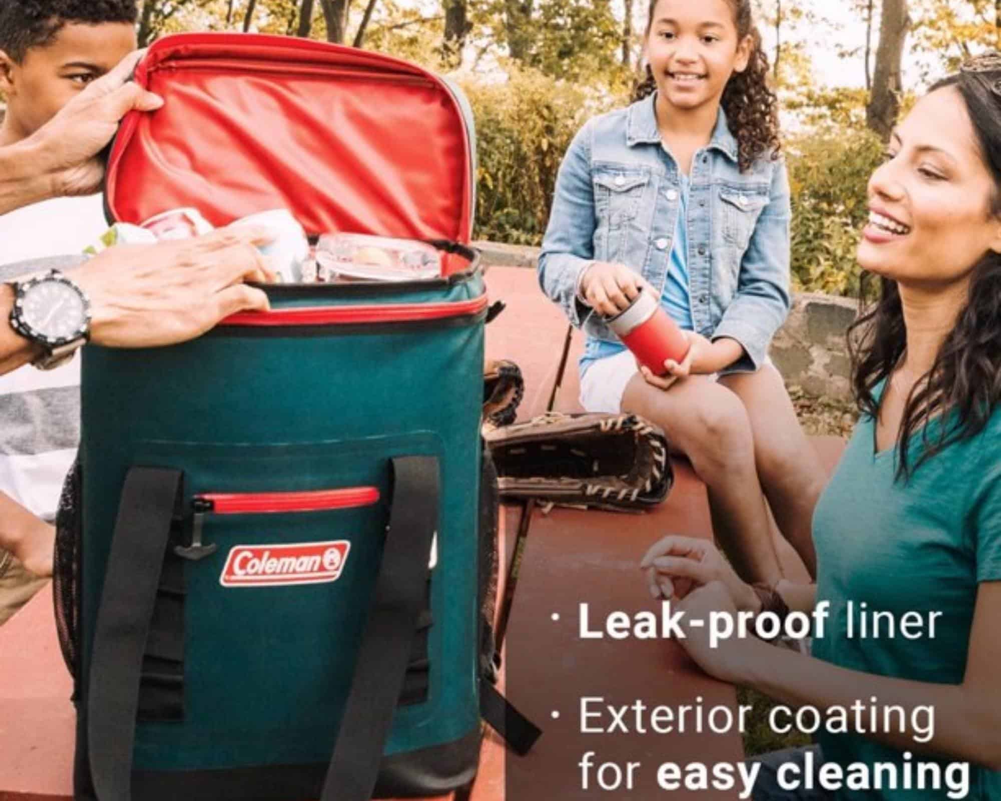 Top 11 Best Backpack Coolers for Camping, Road Trips, Beach Days & More ...