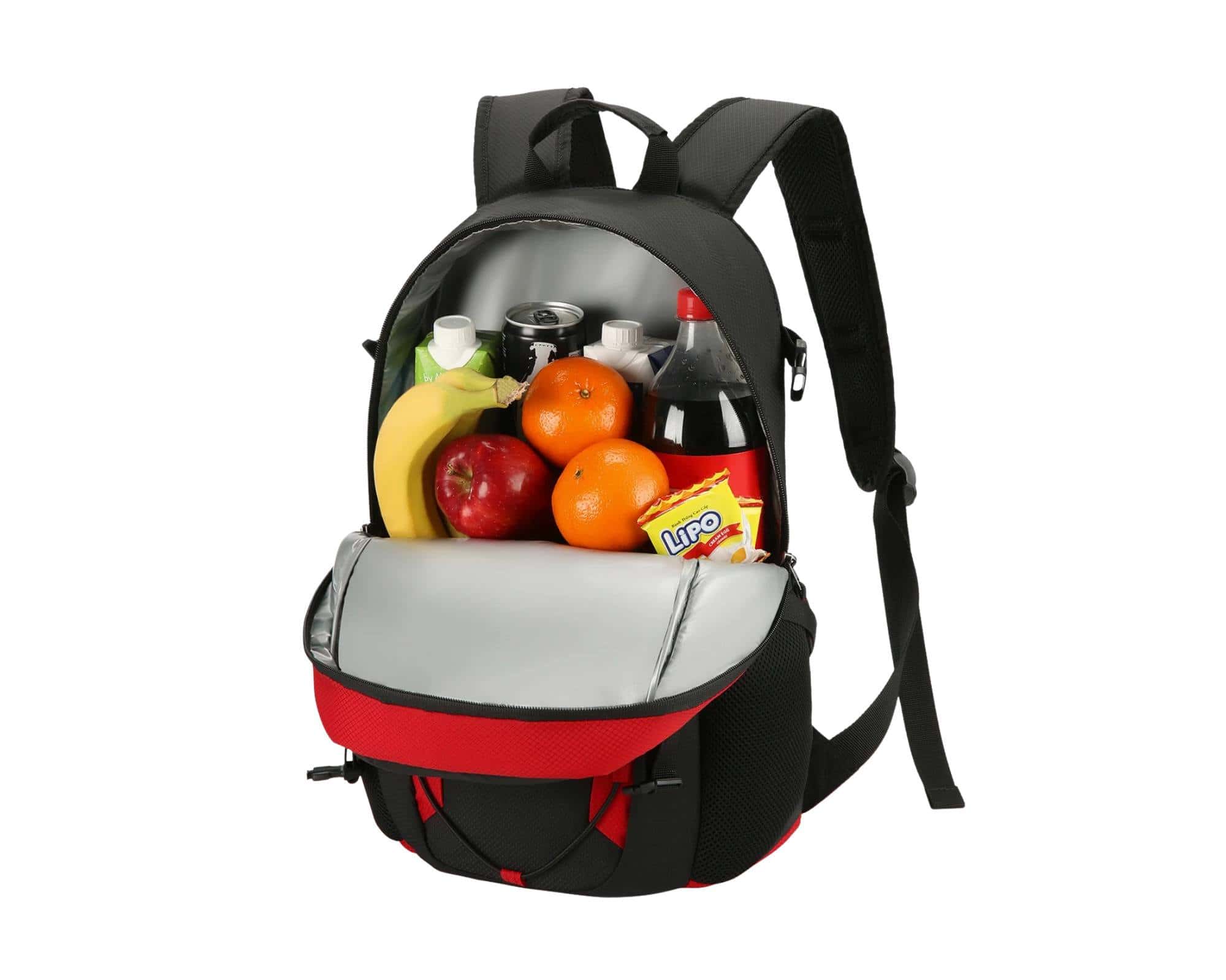 Top 11 Best Backpack Coolers for Camping, Road Trips, Beach Days & More ...