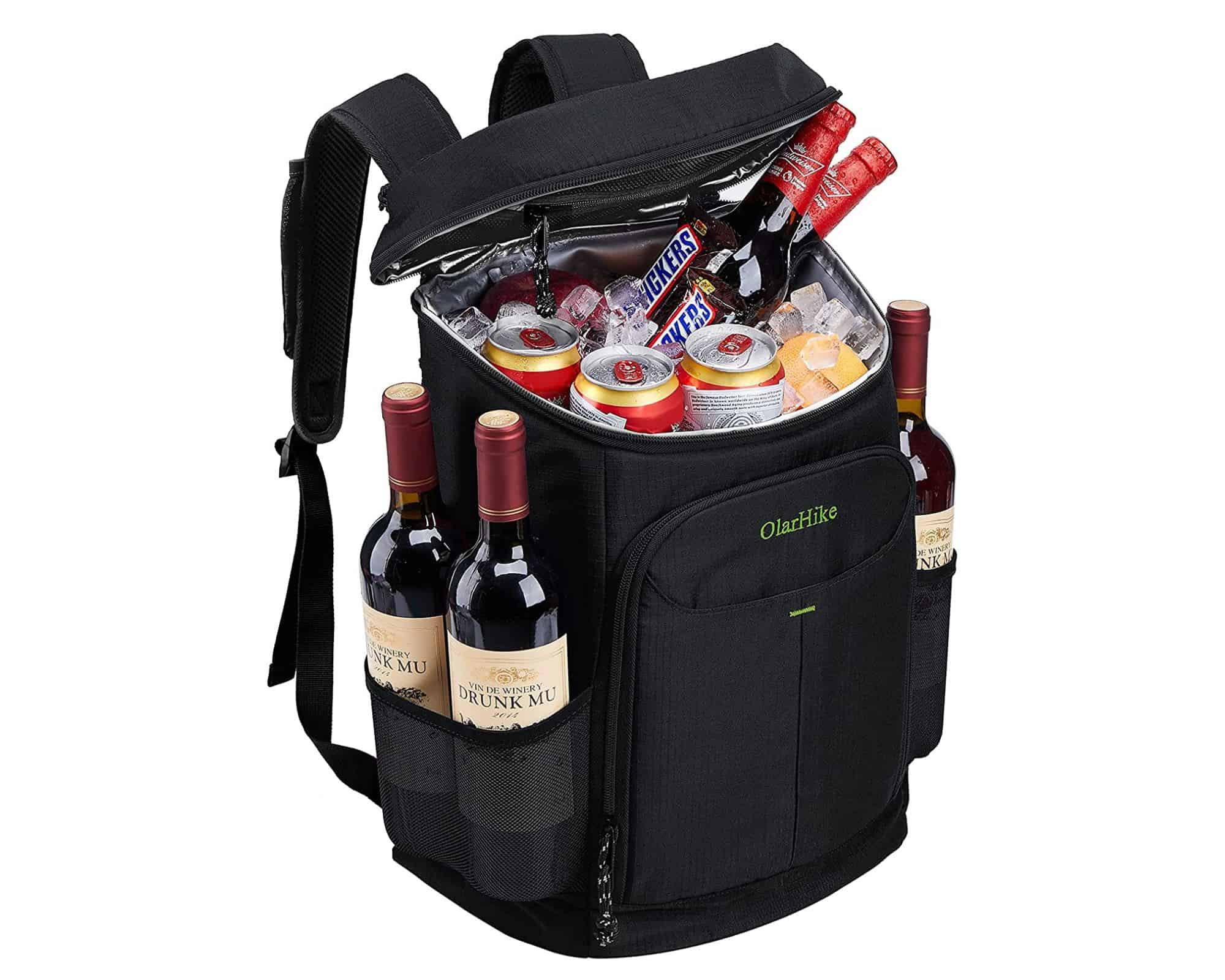 Top 11 Best Backpack Coolers for Camping, Road Trips, Beach Days & More ...