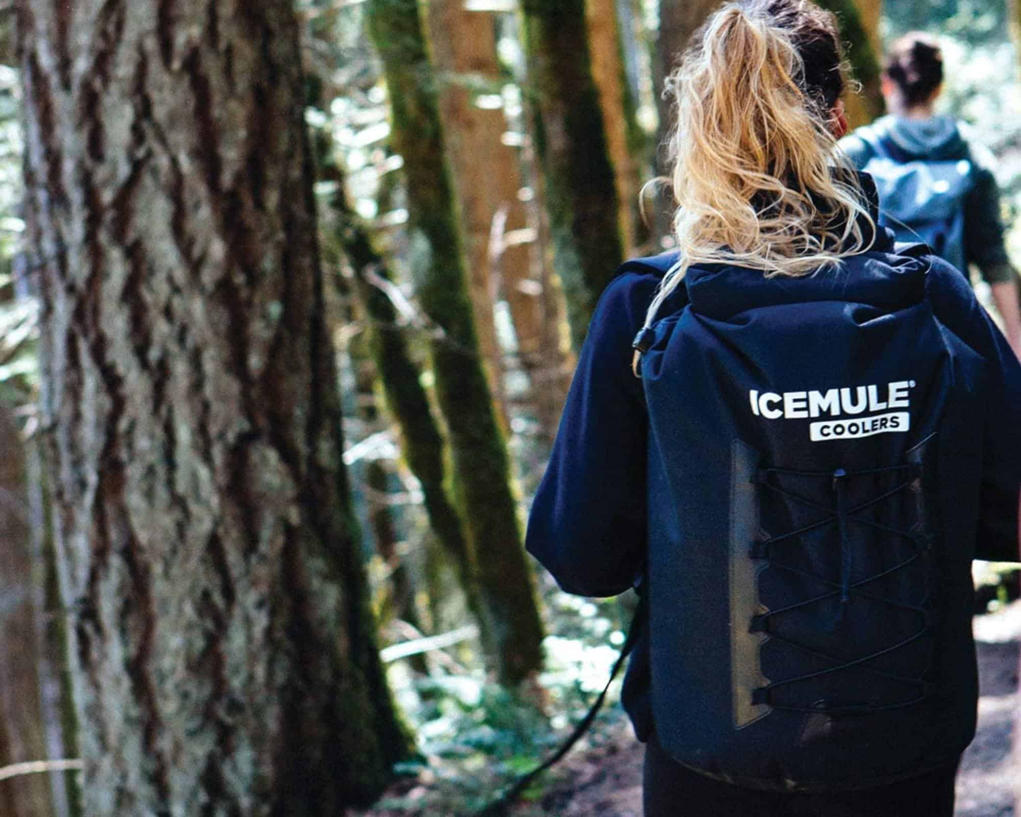 Top 11 Best Backpack Coolers for Camping, Road Trips, Beach Days & More ...