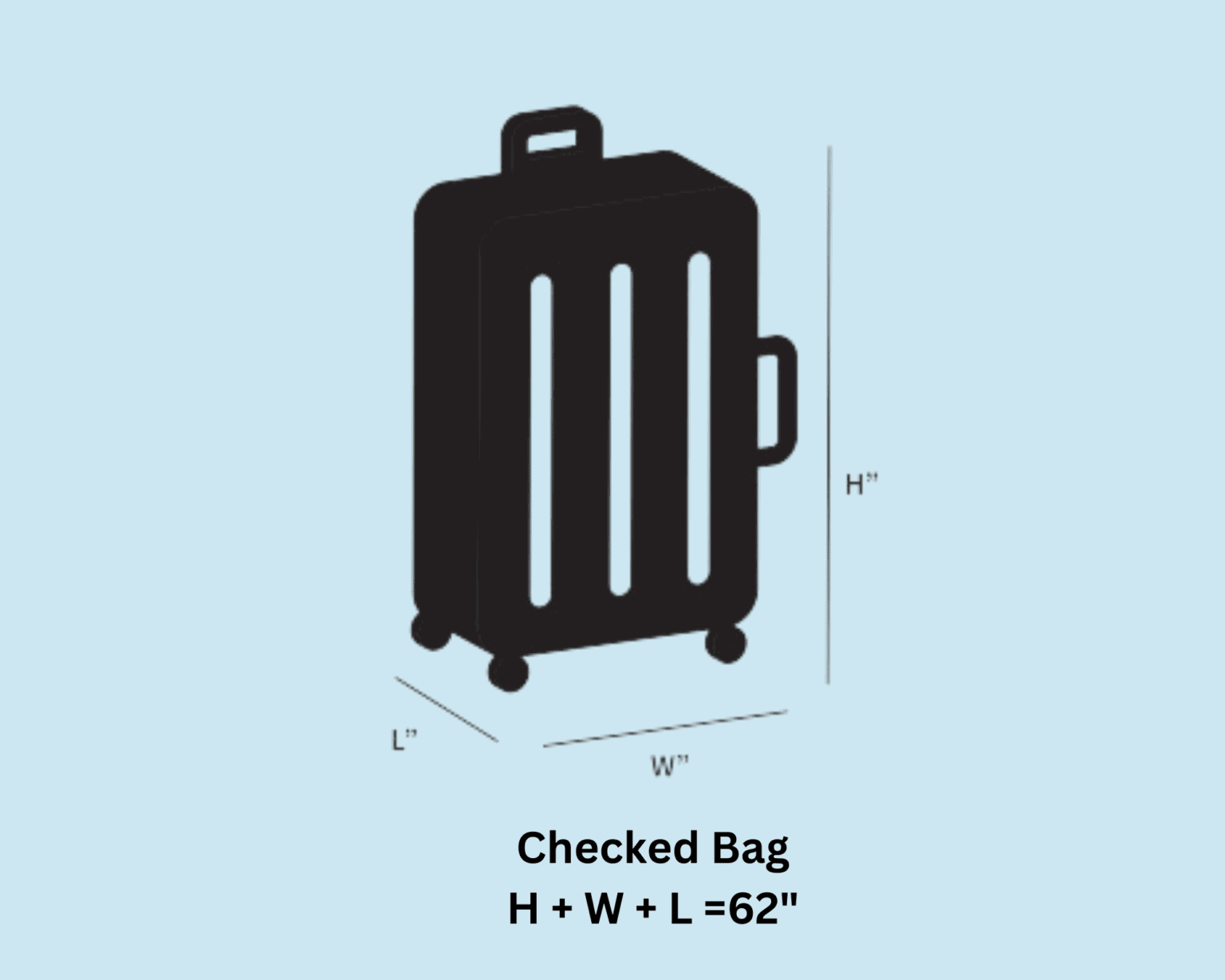 The Ultimate Guide To Checked Luggage (Over 20 Of Your Checked Luggage ...